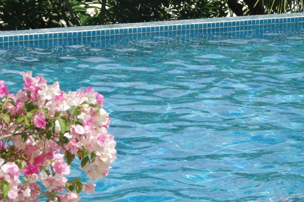 Contact Trail Blazer Pools - Trail Blazer Developments